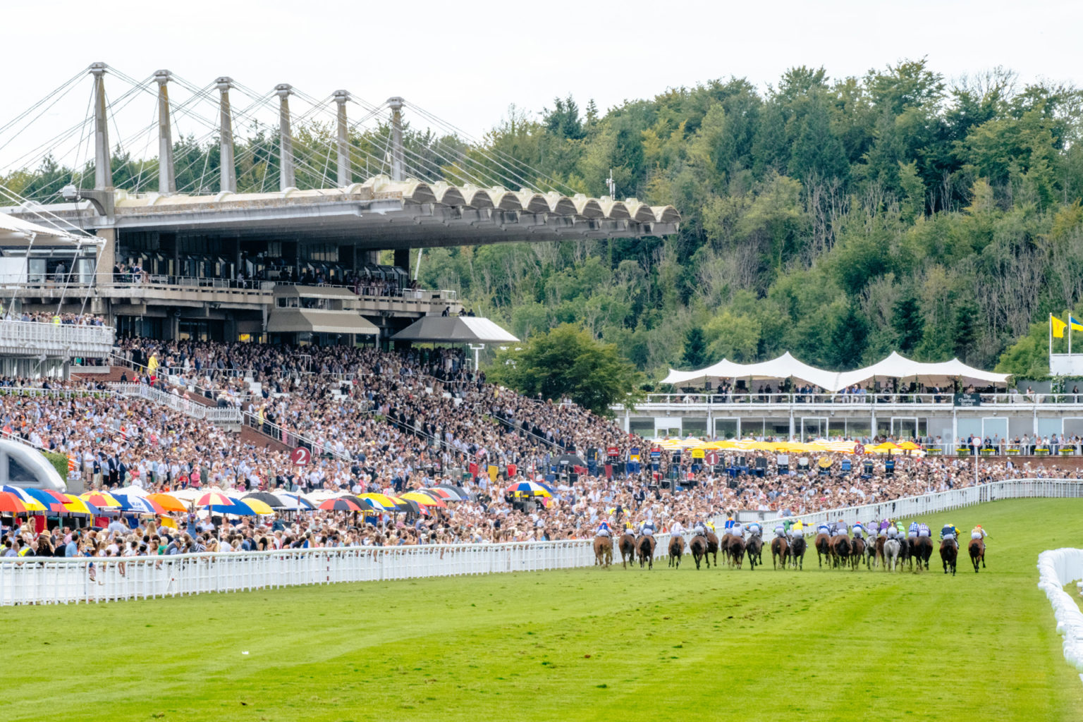 A Guide To Glorious Goodwood 2024 | Enclosures, Tickets, Food
