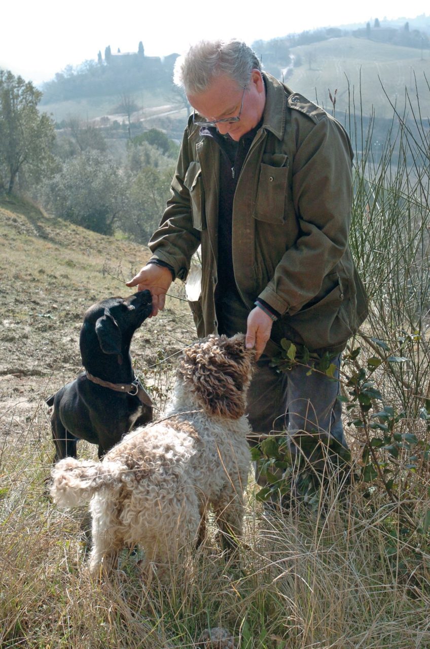 Digging for Gastro Gold: Truffle Hunting in Tuscany | Travel Ideas