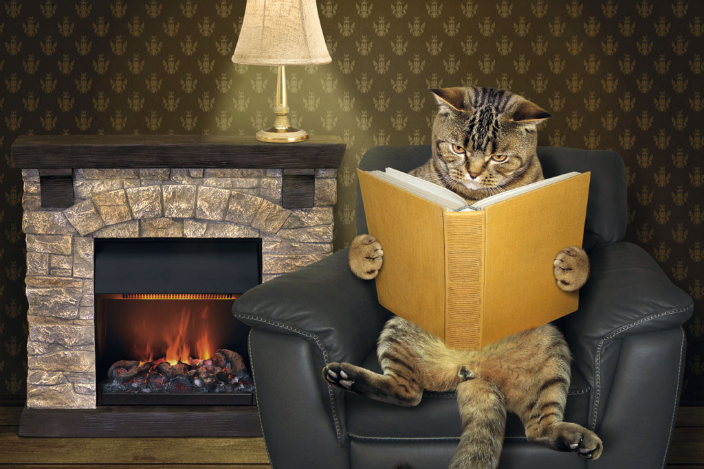 The Best Books To Go Under The Christmas Tree | 2018