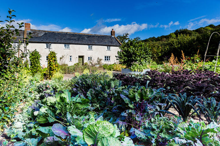 The UK's Best Authentically Farm To Table Restaurants For 2025