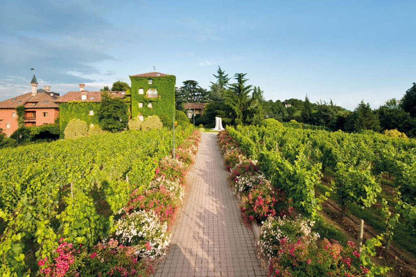 The Spa Guide: Your complete guide to luxury spas around the world