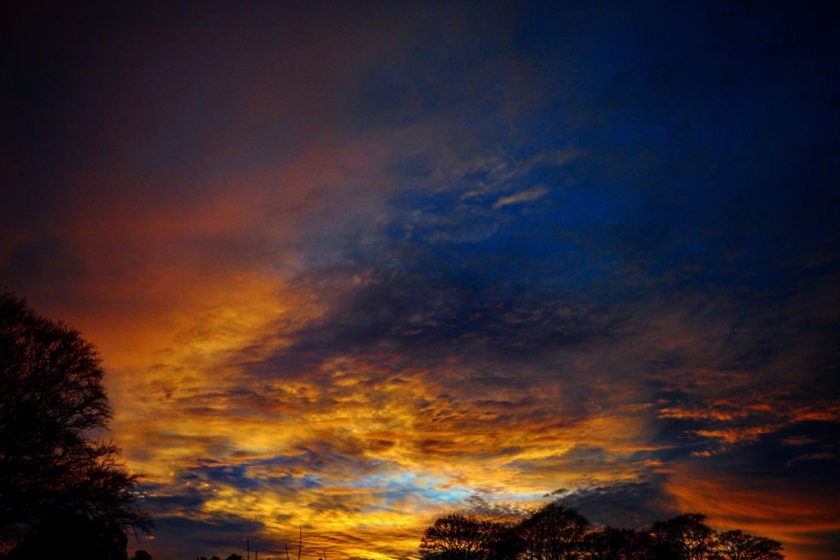 Soundscape, Sculpture, Scenery: The Wonder Project at Wakehurst