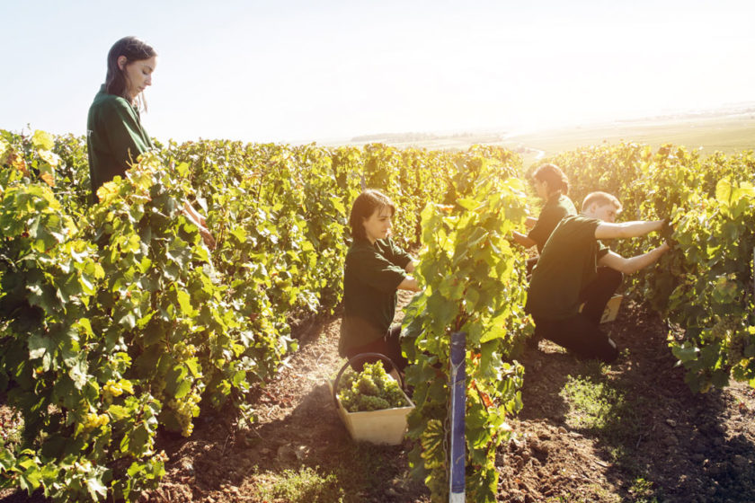 The Enigmatic World Of Champagne, France - Country and Town House