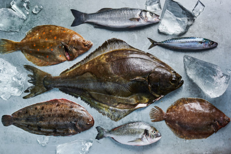 Harrods Fresh Market Hall is From the Future - Food & Drink