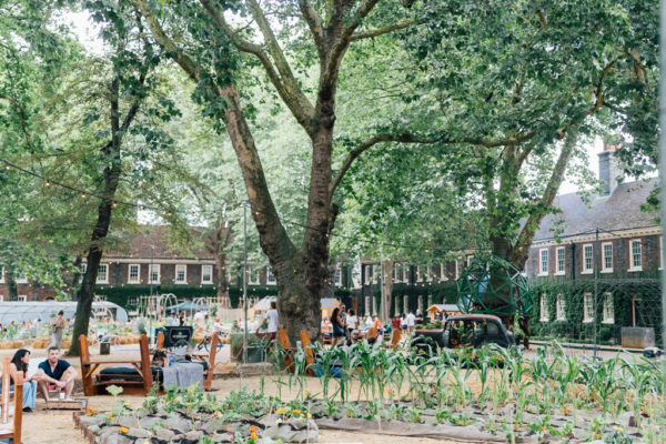 Gardening in London: The Guide - Where to Garden in the City