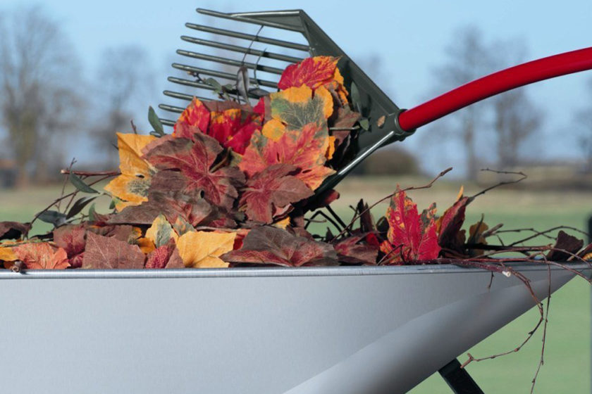 Gardening in London: The Guide - Where to Garden in the City