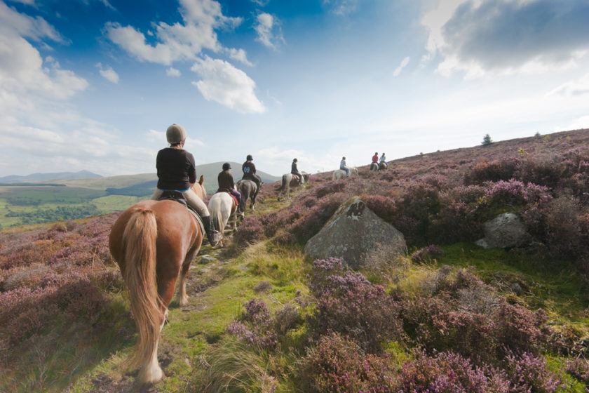 The Best Stables in the UK - Sporting