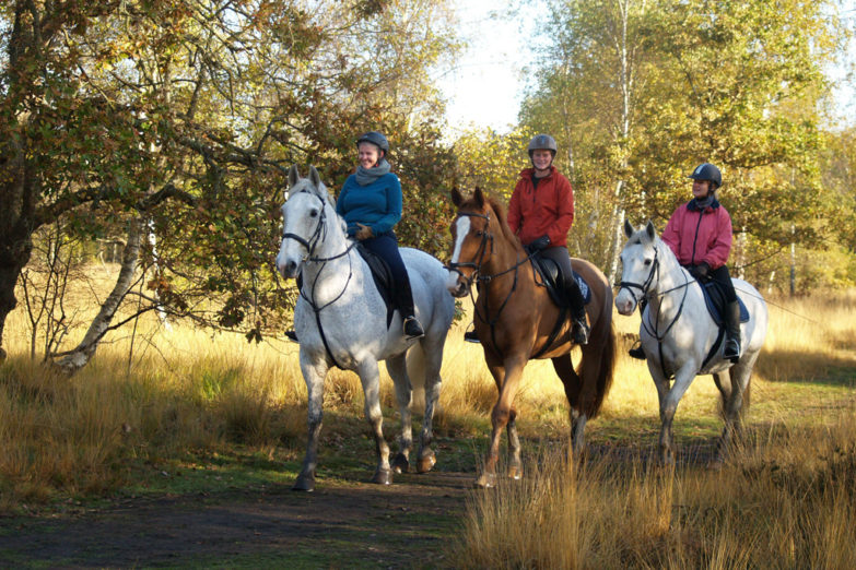 The Best Stables in the UK - Sporting