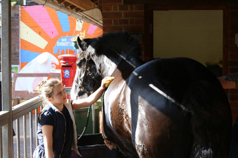 London's Best City Farms To See Udderly Fantastic Animals