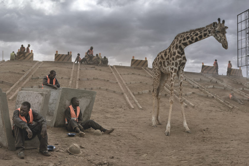 Nick Brandt's 'This Empty World' is a Clarion Call for Change - Culture