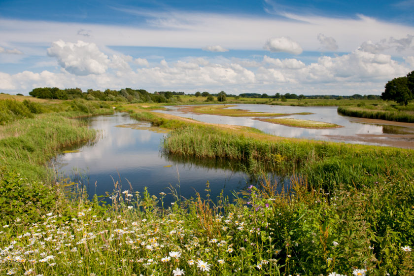 The Most Beautiful Nature Reserves in the UK For Walks & Picnics