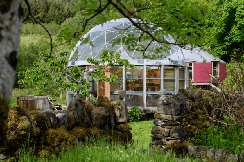 What is Human Rewilding? - A Guide To Nature-Based Wellness