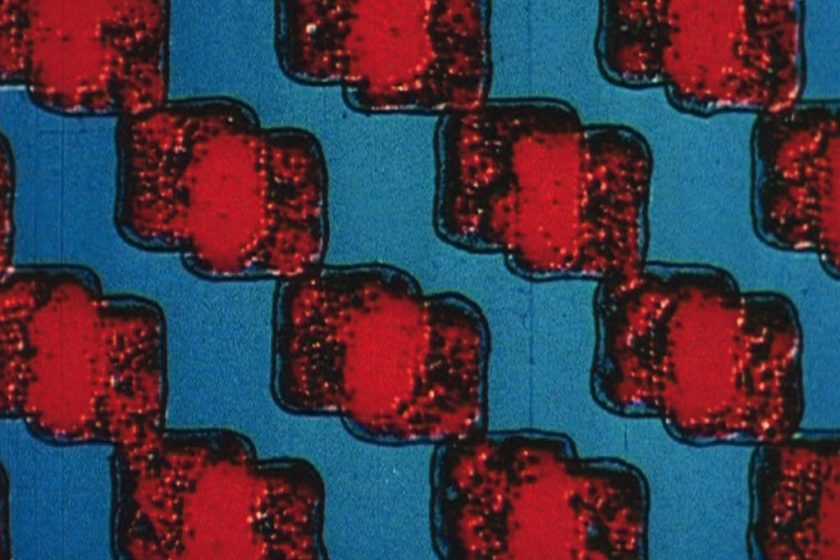 11 Must-See Exhibitions by Women Artists in the UK - C&TH Culture