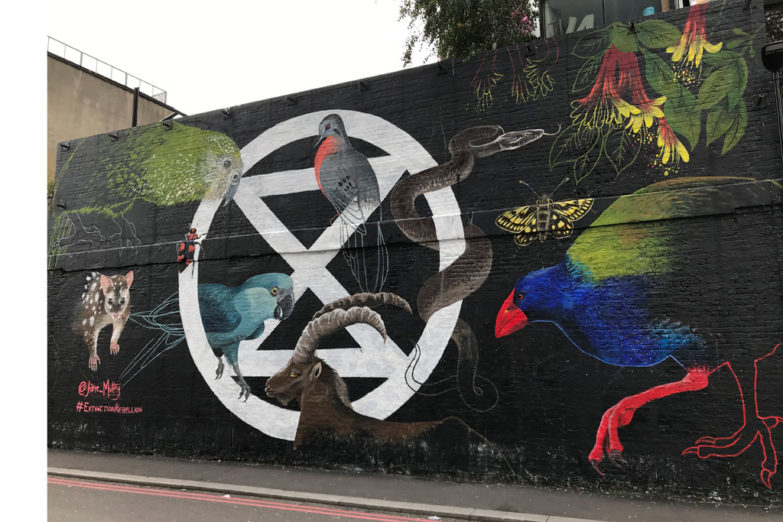 Where to Spot Street Art in London - Culture