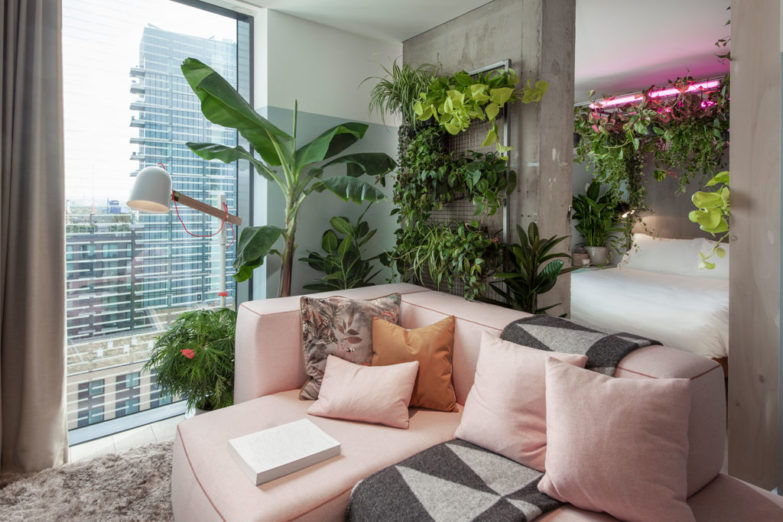 An Inside Look at the UK’s First Houseplant Hotel - Travel