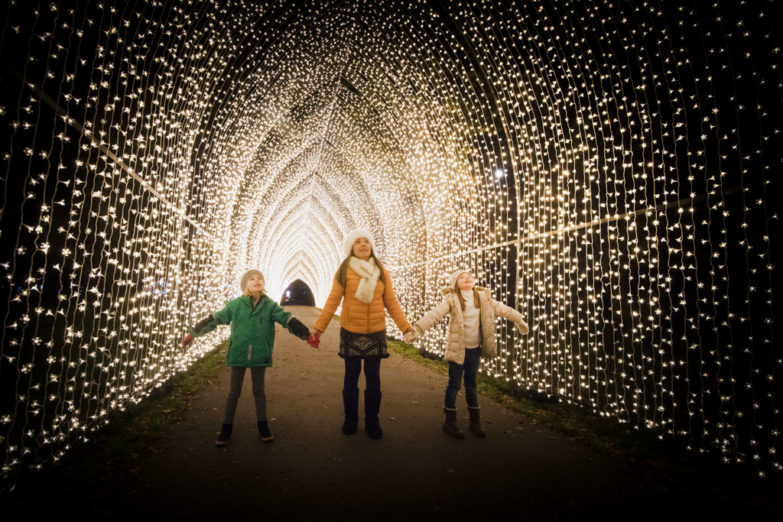 The Best Winter Light Festivals & Trails To Visit In 2023