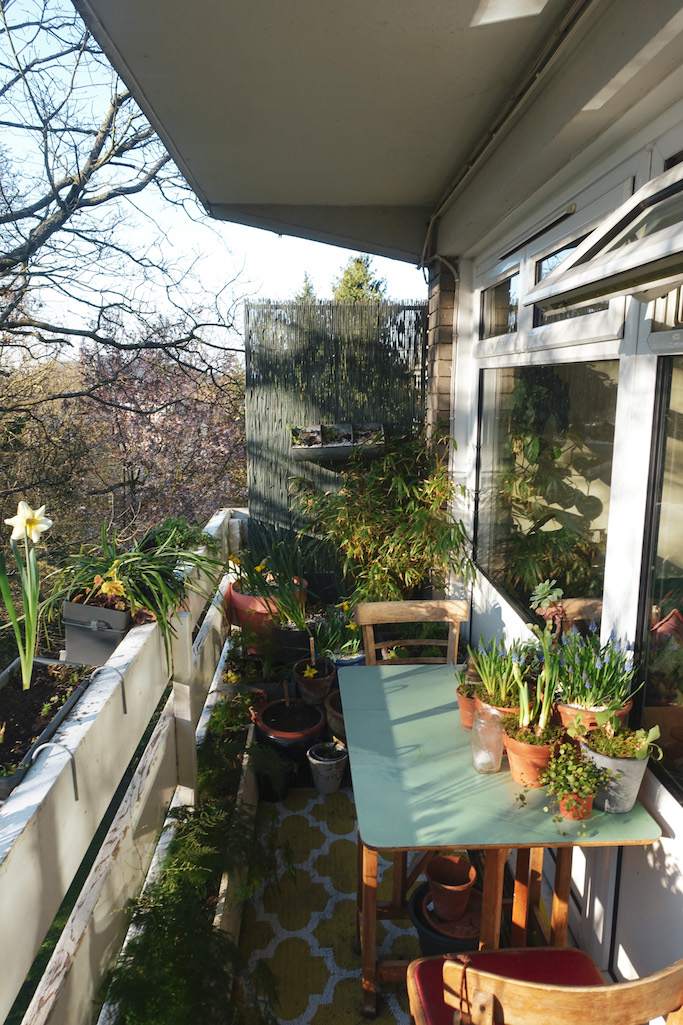 In the garden with... Alice Vincent - Gardens