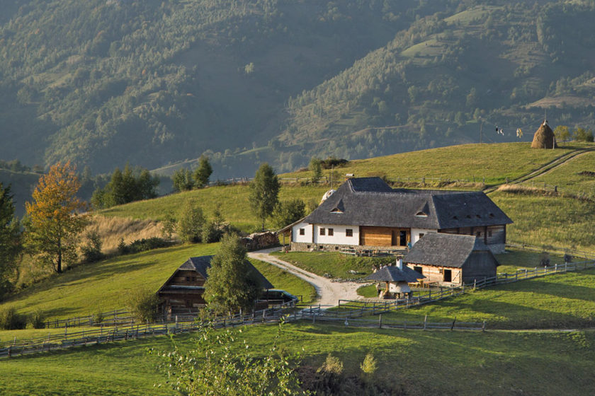 Rewilding Romania: Conservation in the Carpathians - Travel by C&TH