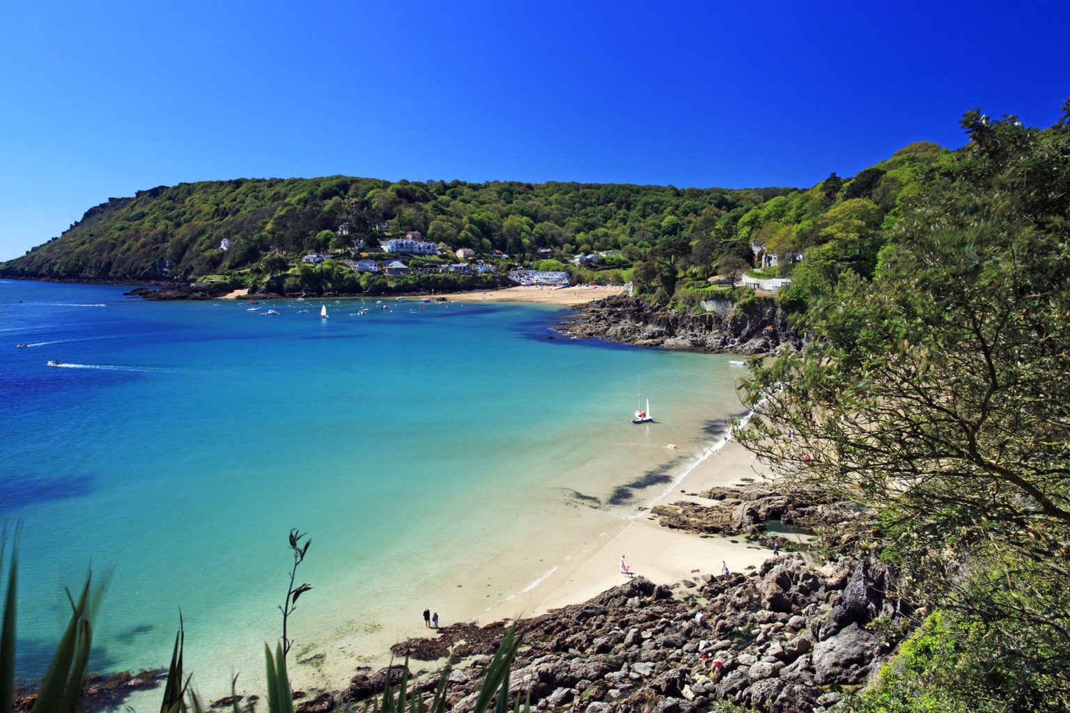 Review: The Seahorse, Dartmouth, Devon