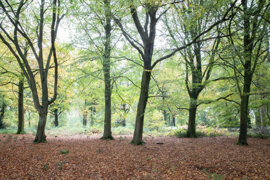 Mandy Lieu: New Model Farming - Culture | Sustainability