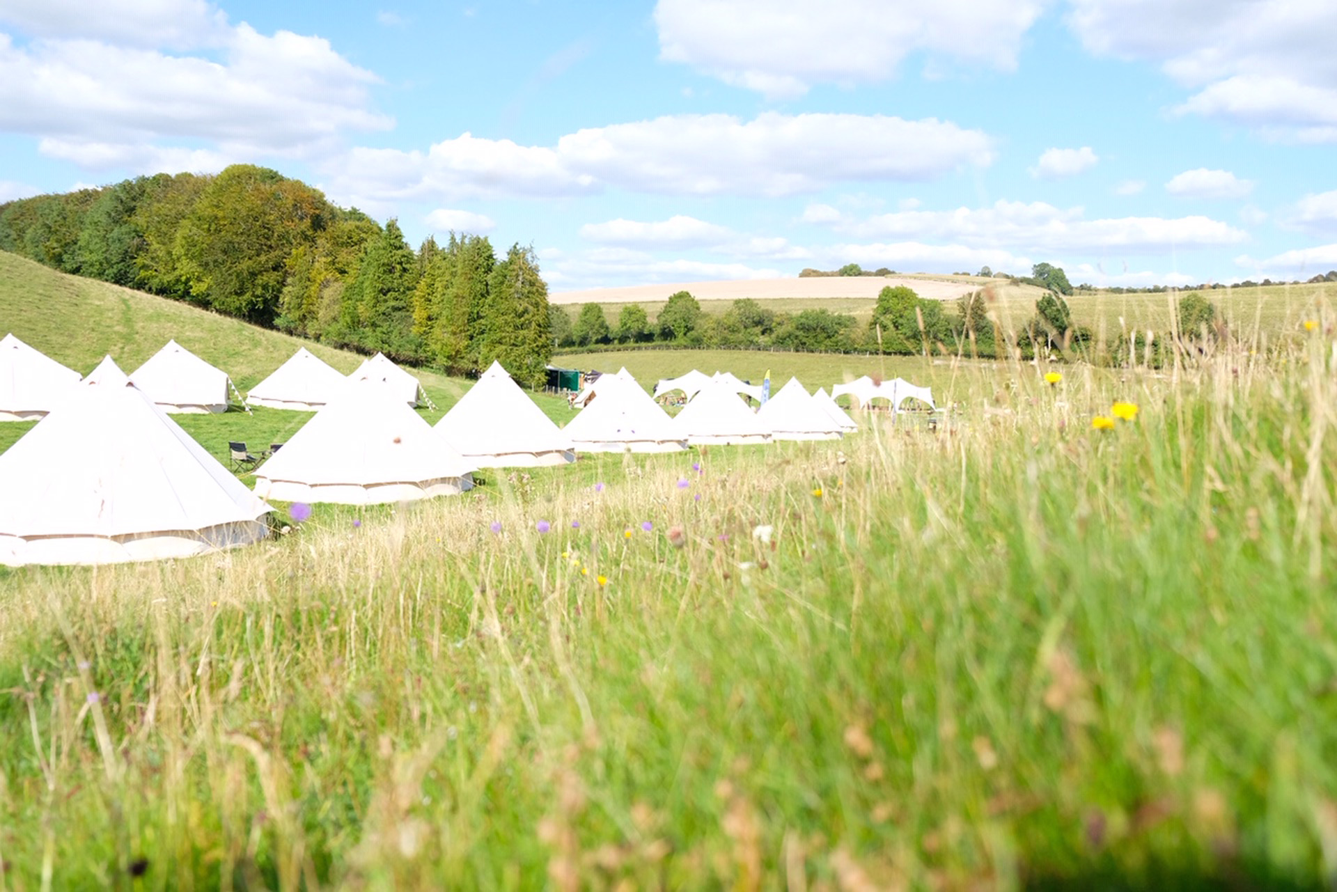 Eco Festivals: Why You Should Book One This Summer - Culture