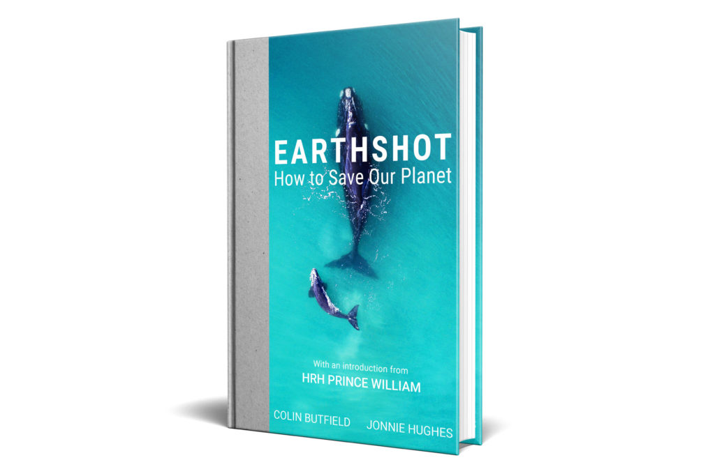 Must-Read Books About Sustainability - Culture & Environment