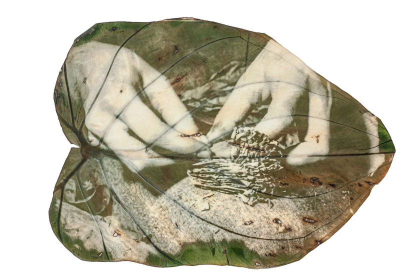 Sustainable Photography: How To Get Started - Culture