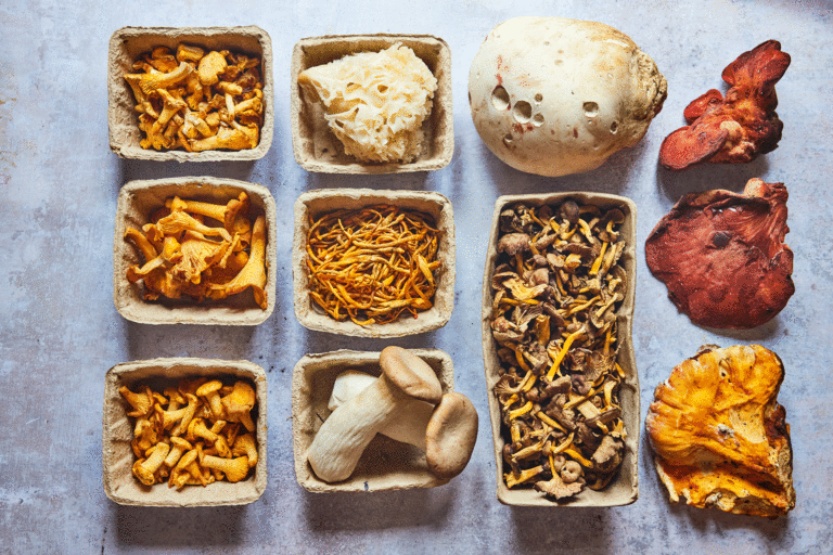 Best Eco-Friendly Restaurants in London - Sustainable Menus