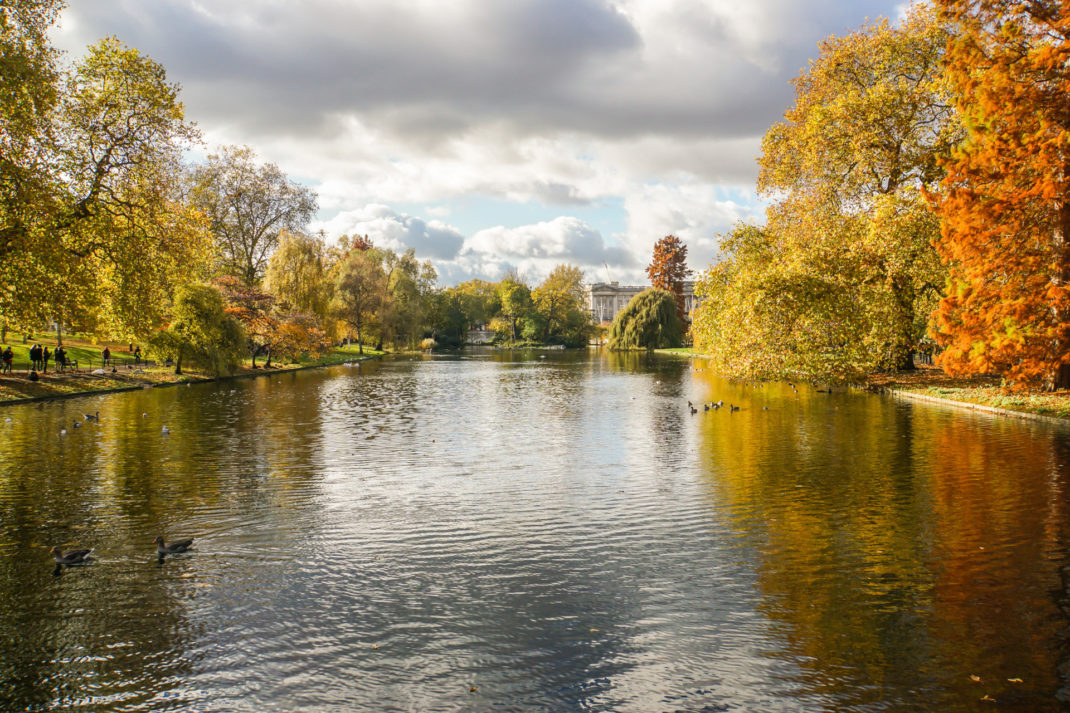 What Is Green Friday & How Can We Get Involved? - Style