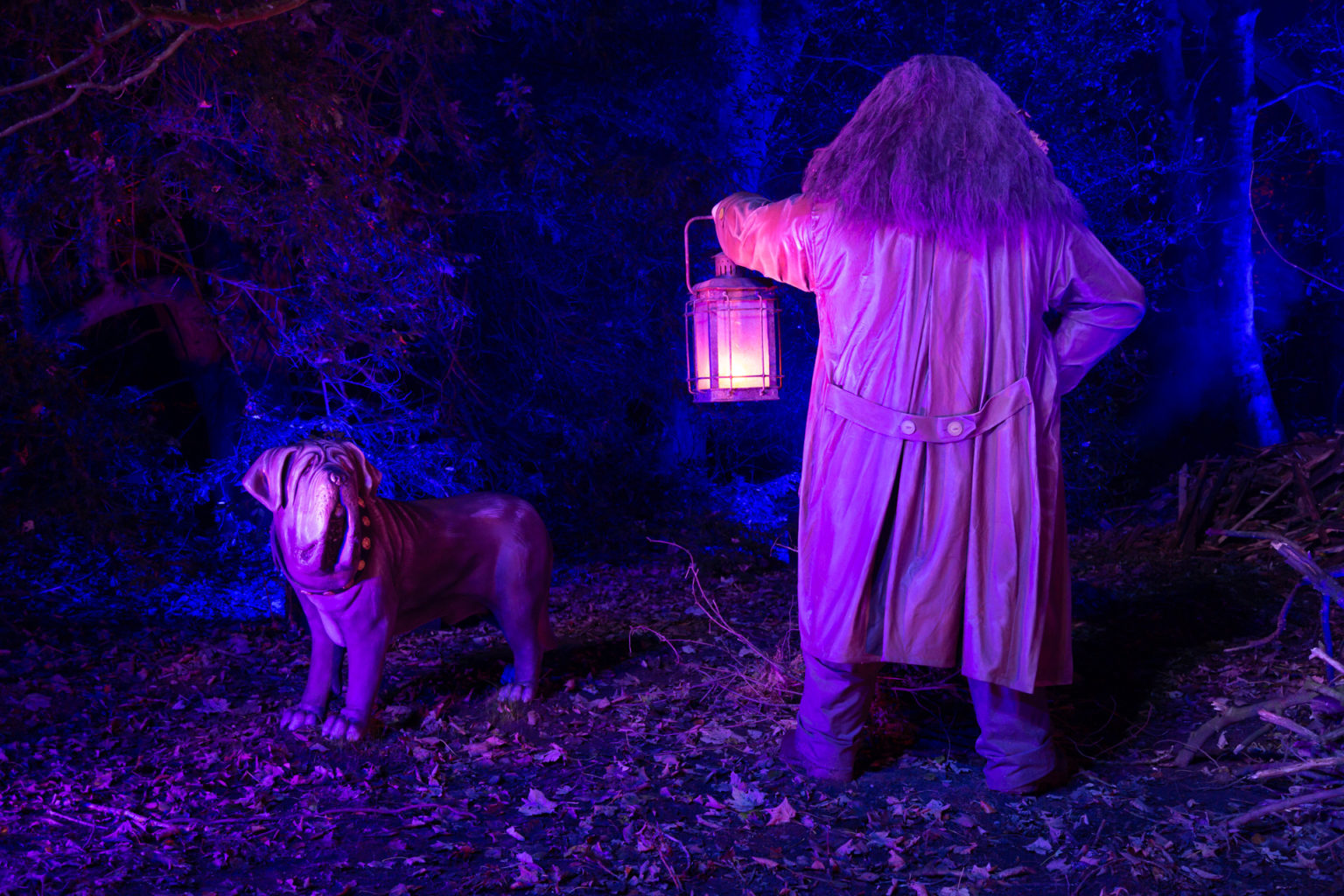 Review: Harry Potter: A Forbidden Forest Experience