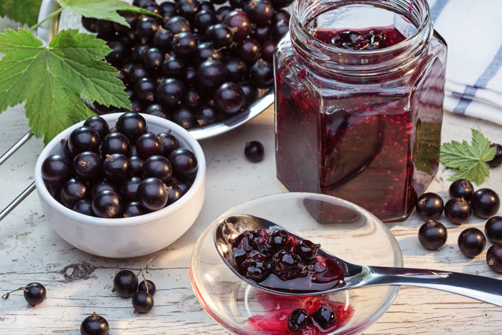 Fruit of the Week: Currants - Blackcurrant Shrub Recipe