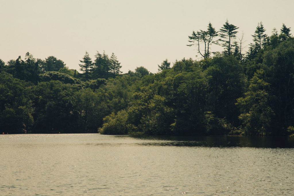 The Weekender: Fritton Lake, Great Yarmouth - Travel