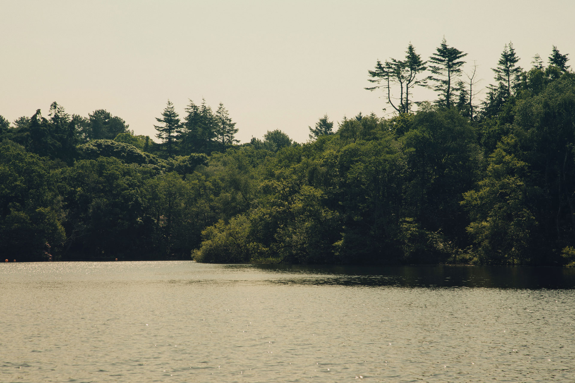 The Weekender: Fritton Lake, Great Yarmouth - Travel