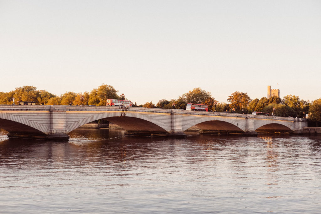 Restaurant Review: Coppa Club, Putney - London Restaurant Reviews