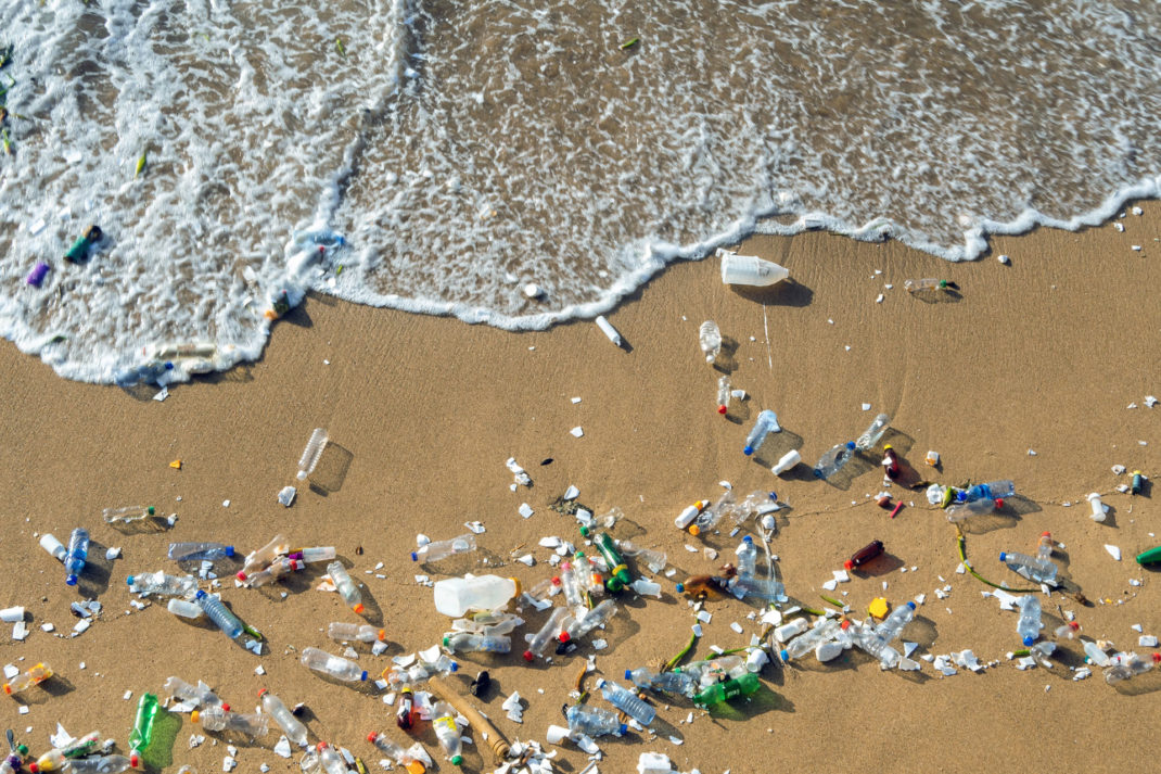 What Are Microplastics and Why Are They a Problem?