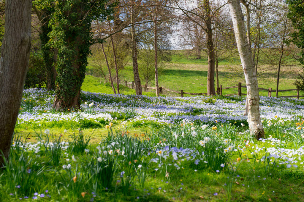 Spring: The Best Places to Visit in the UK | Seasons Guide 2023
