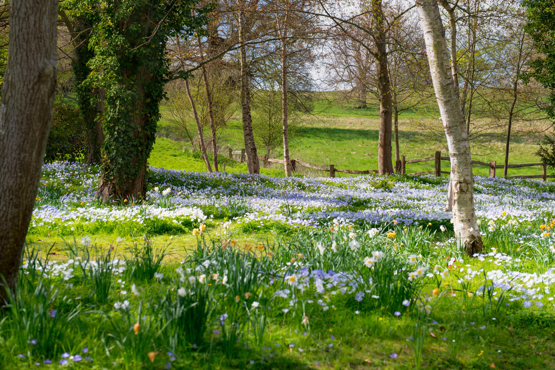 These Are The Best London Walks For A Spring Stroll