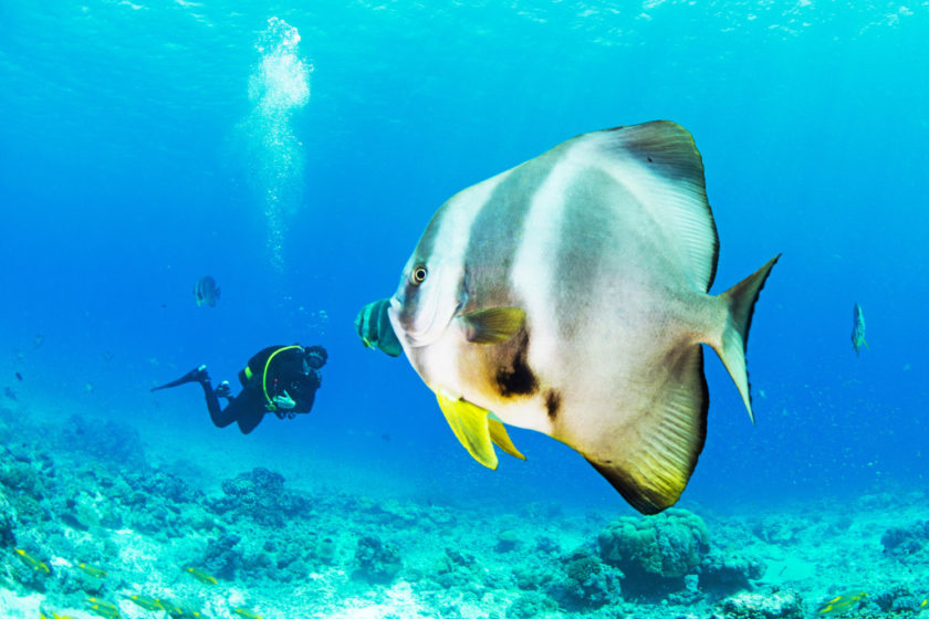 Review: Alphonse, Seychelles - Travel