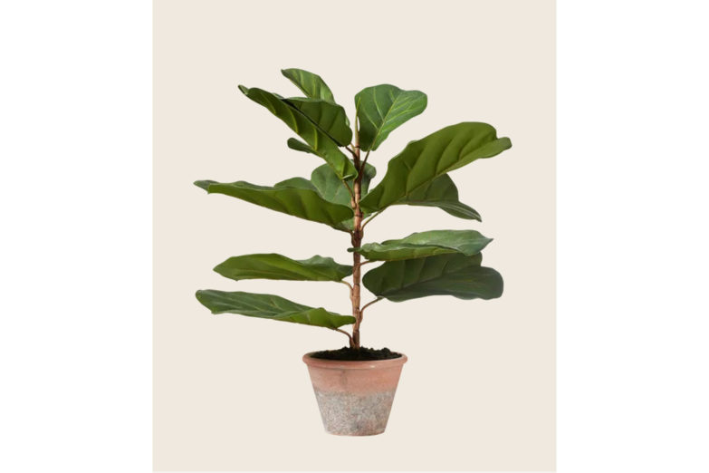 10 Artificial Plants & Flowers You'll Actually think are Real - Interiors