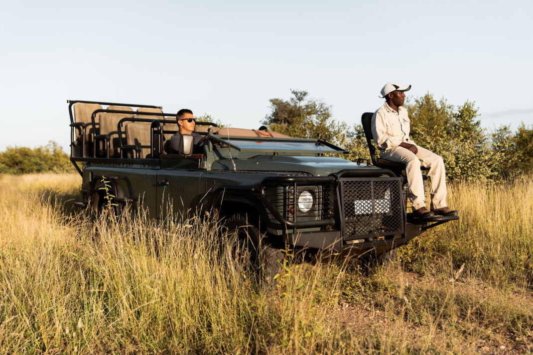 Safari: How To Do It in 2023 - The C&TH Ecotourism Guide