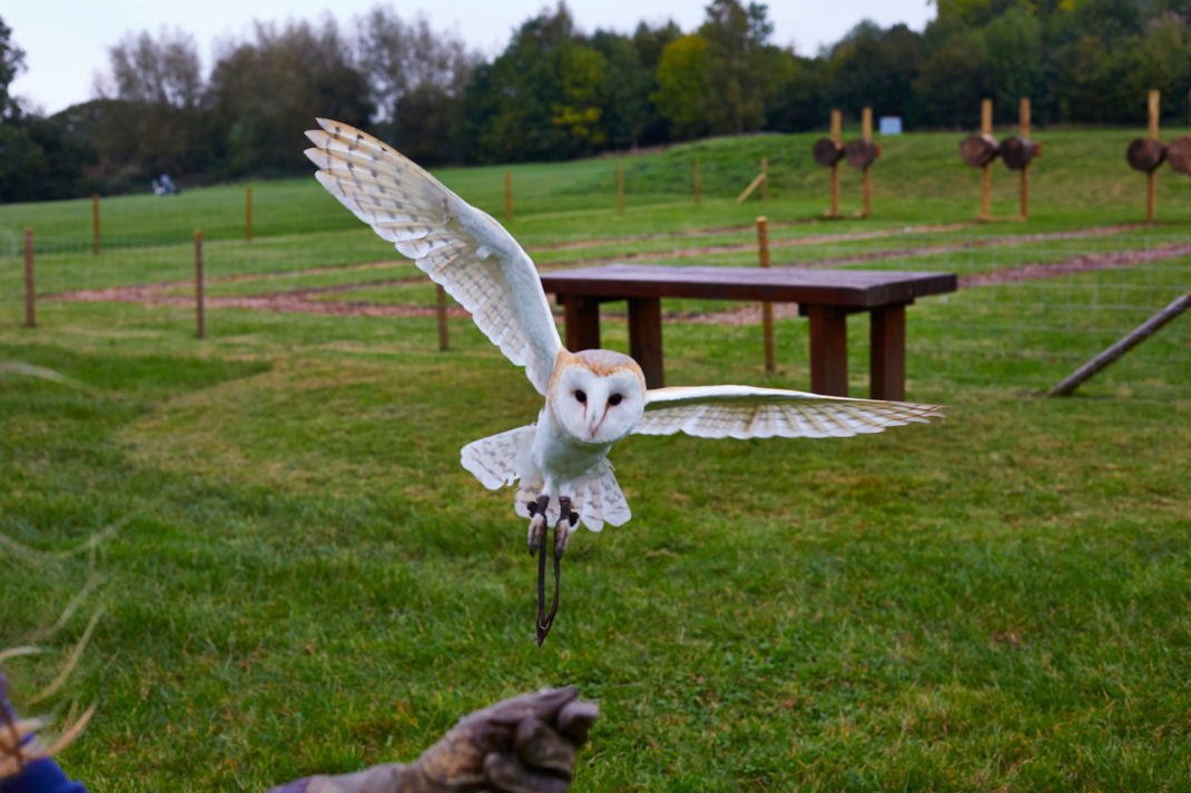 Farncombe Estate, Cotswolds: Review - Country & Town House