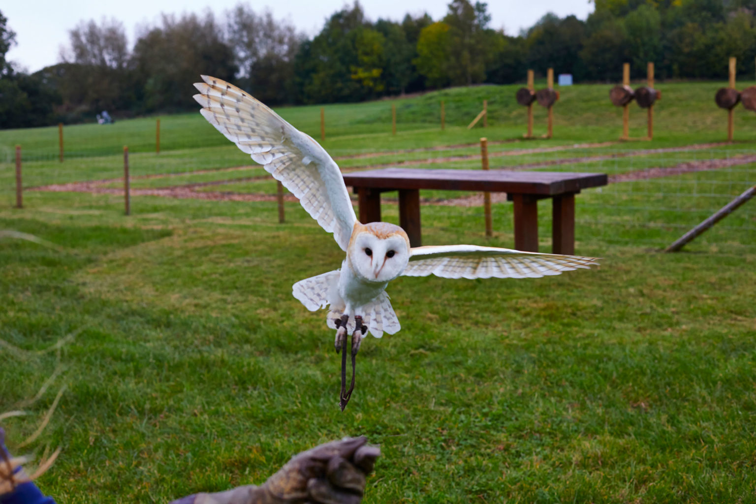 Farncombe Estate, Cotswolds: Review - Country & Town House