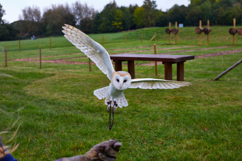 Farncombe Estate, Cotswolds: Review - Country & Town House