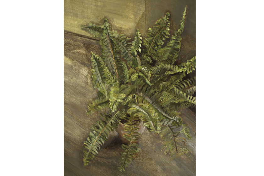 Lucian Freud's Plants Bloom in New Exhibition 'Plant Portraits' - Interiors