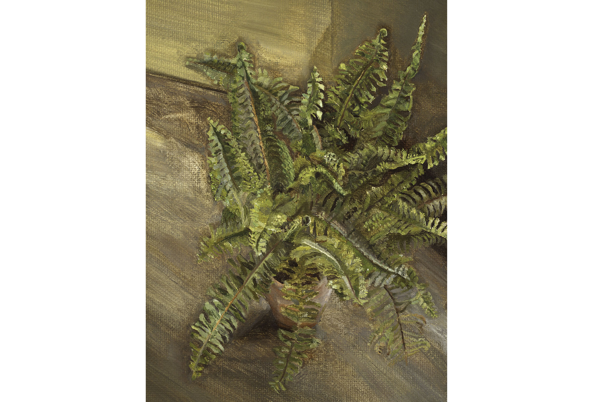 Lucian Freud's Plants Bloom in New Exhibition 'Plant Portraits' - Interiors