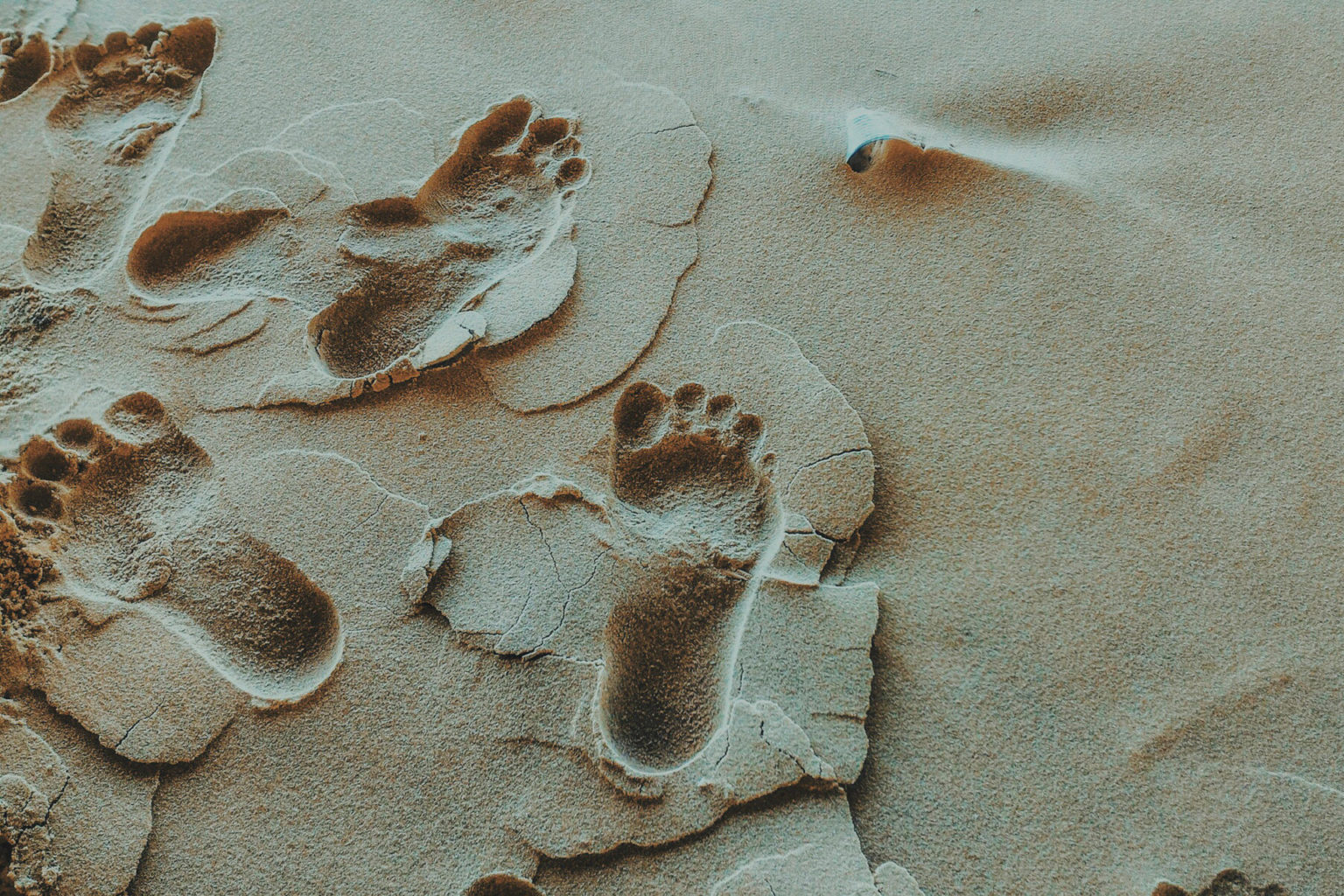 Carbon Footprint: What It Means & How To Calculate Yours - Travel