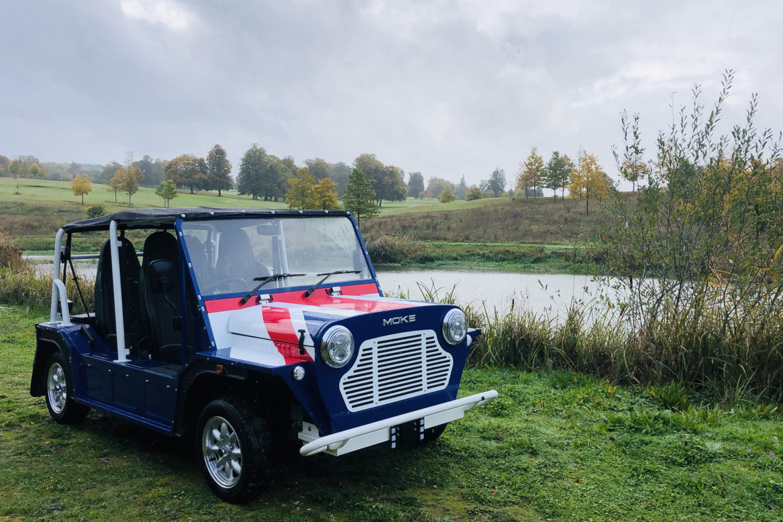 Electric Moke — The Green Lane - Culture