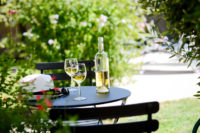 A Guide To Organic Wine - What Is It & Where To Buy It