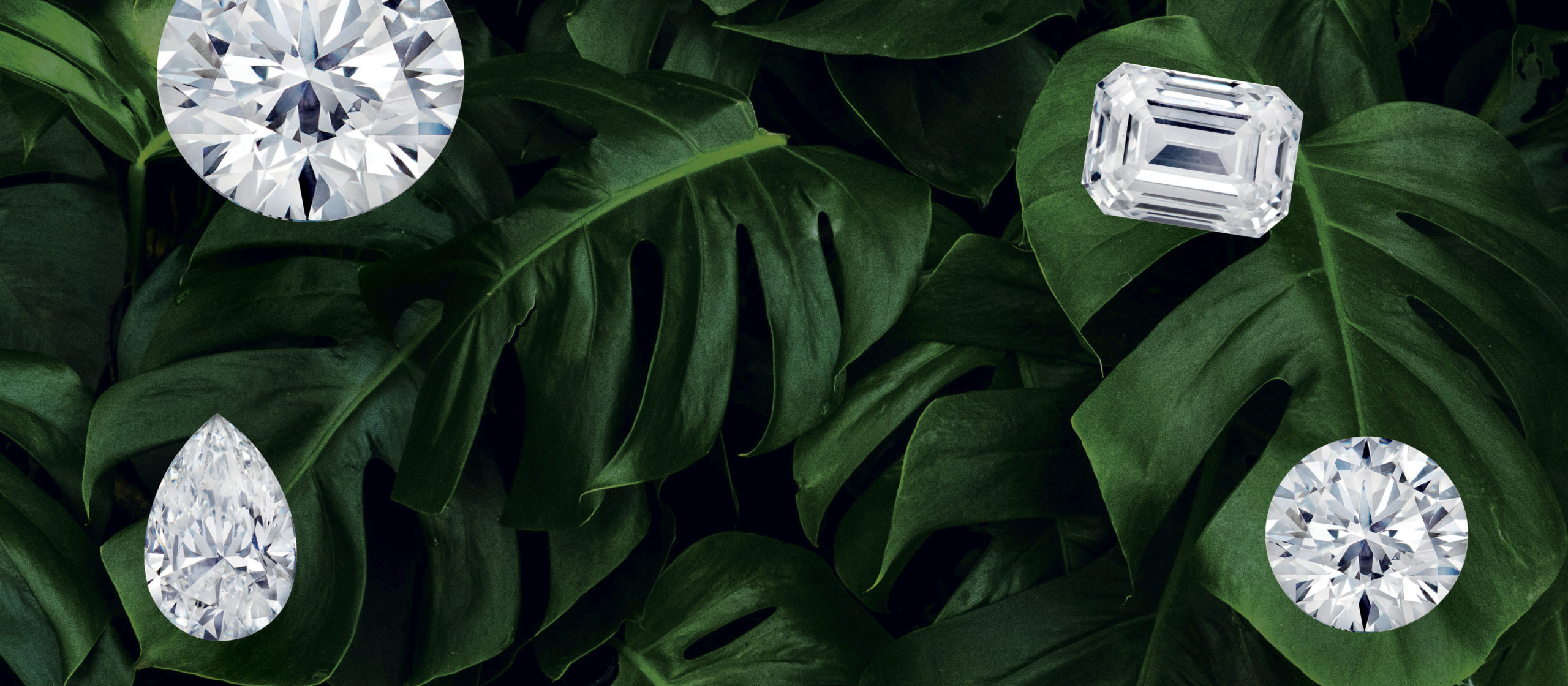 Join Us For Journey To Zero - Culture