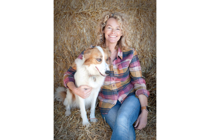 Food and Farming with the Jefferies: Farm Diversification